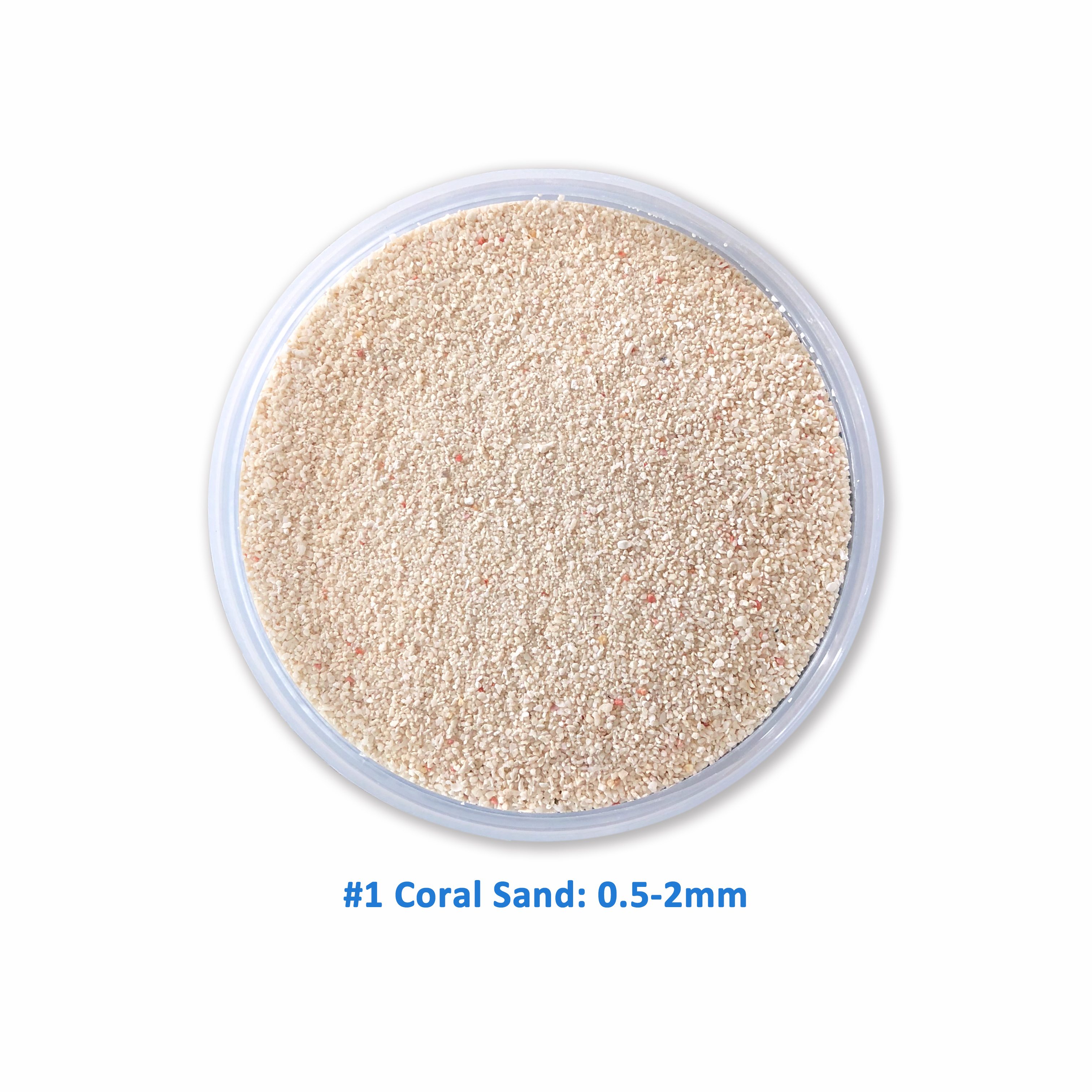 Blue Treasure #1 Coral Sand